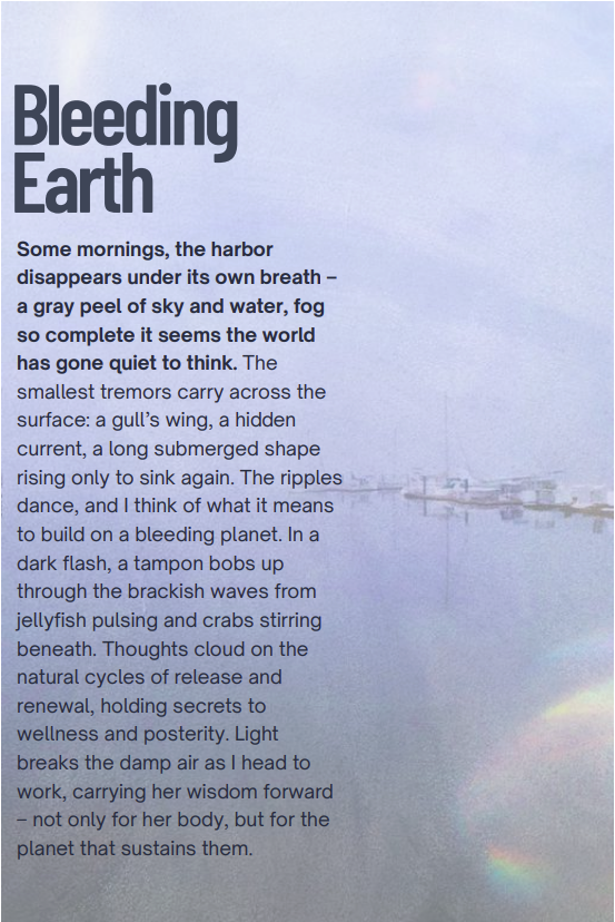 Litter Winter/Spring 2026 - Ecological Design Collective