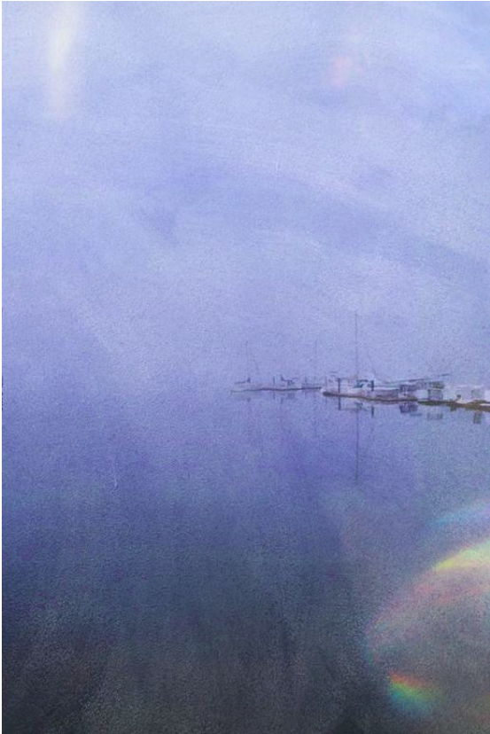 Litter Winter/Spring 2026 - Ecological Design Collective