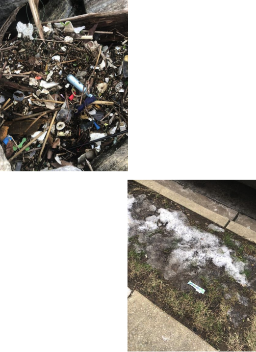 Litter Winter/Spring 2026 - Ecological Design Collective